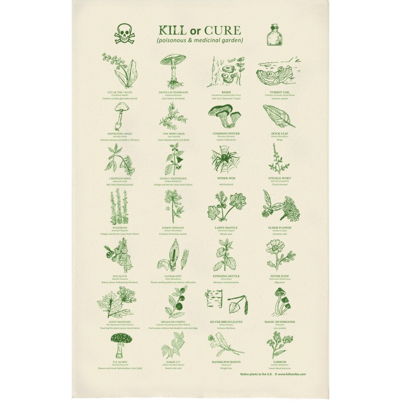 Kill or Cure